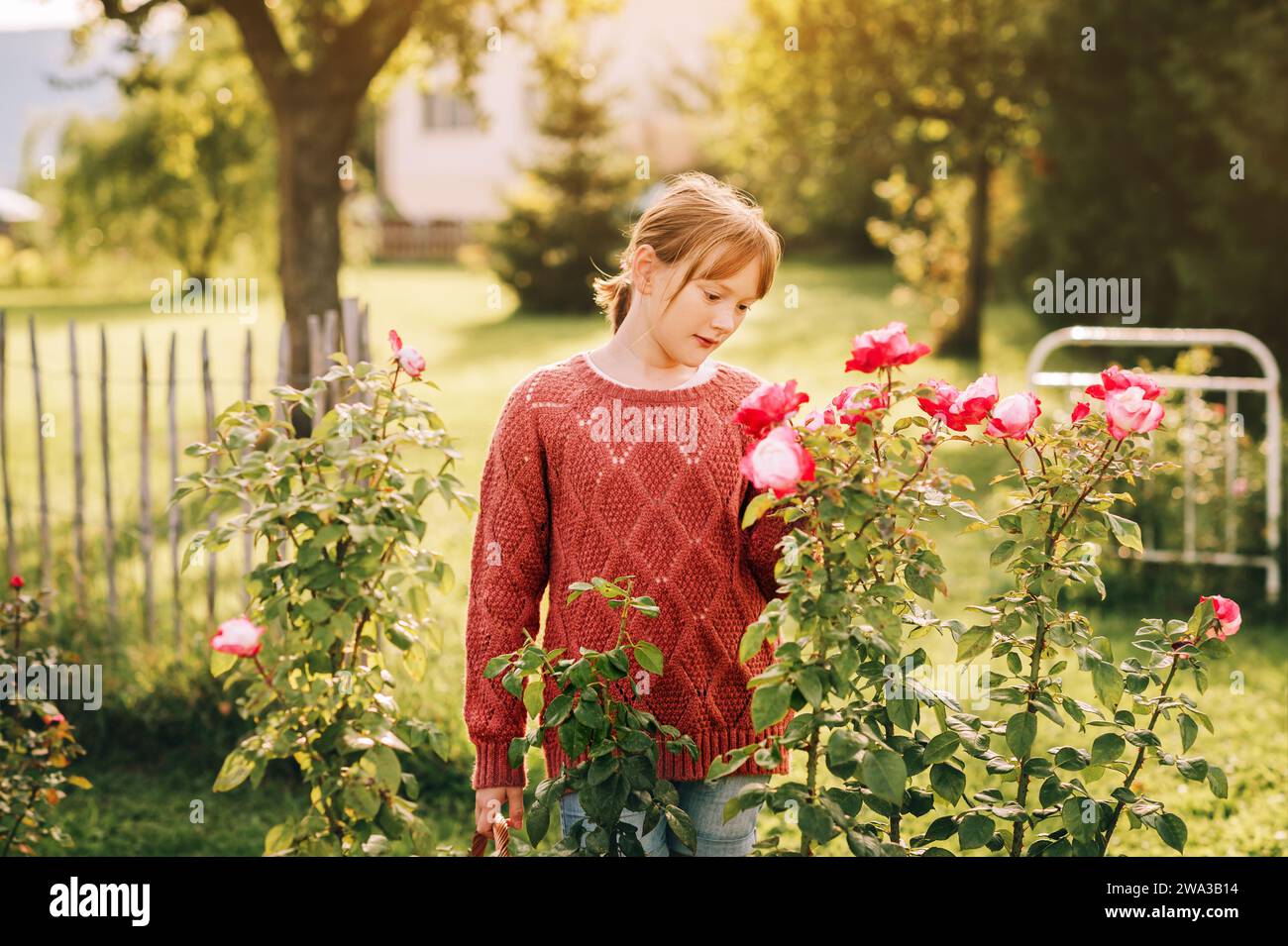Little girl playing in beautiful rose garden Stock Photo - Alamy