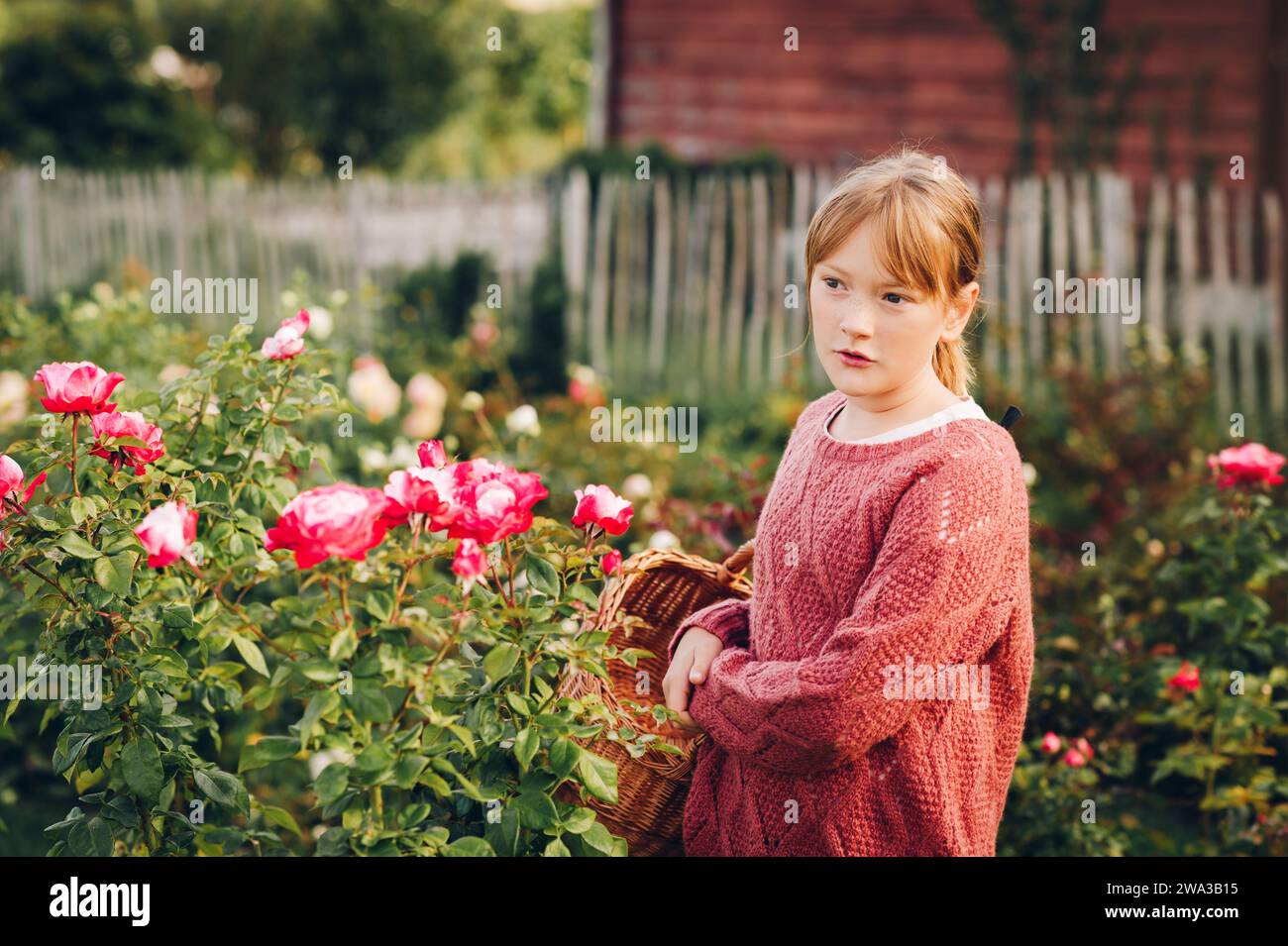 Little girl playing in beautiful rose garden Stock Photo - Alamy