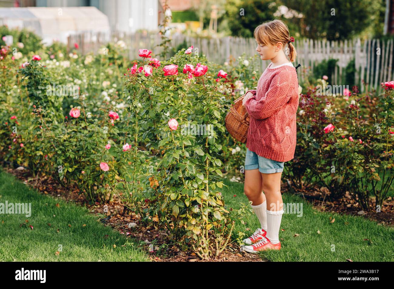 Little girl playing in beautiful rose garden Stock Photo - Alamy