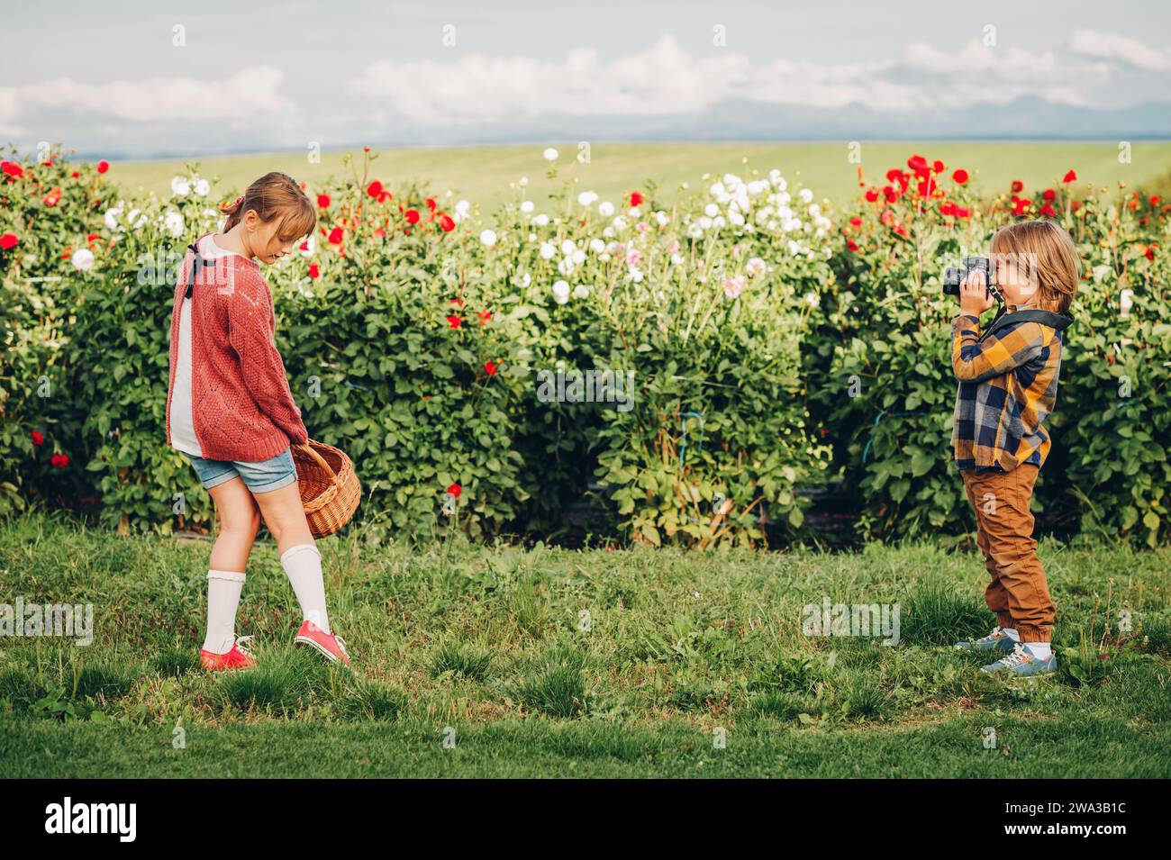 Two funny kids playing together in beautiful chrysanthemum garden ...