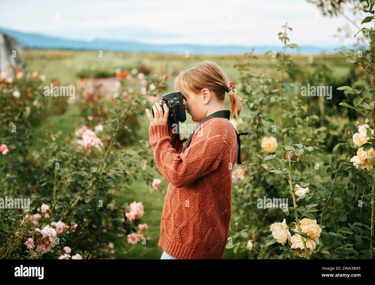 Little girl taking pictures of roses in beautiful flower garden, hobby ...