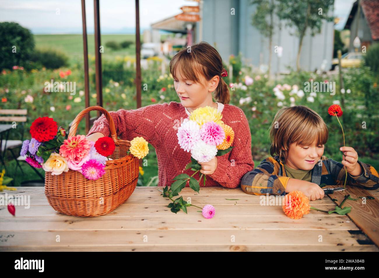 Boy giving flower girl hi-res stock photography and images - Alamy