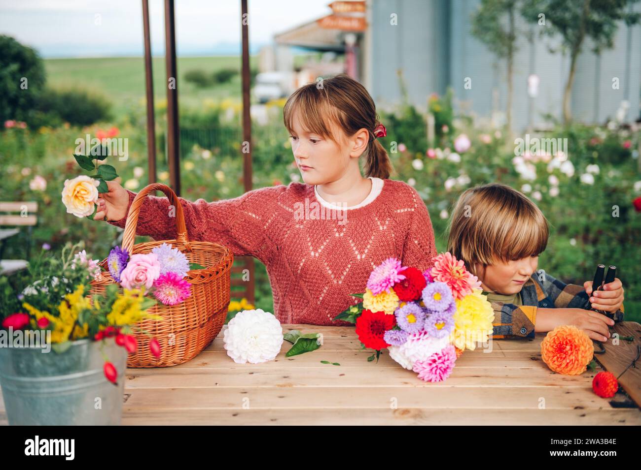 Boy giving flower girl hi-res stock photography and images - Alamy