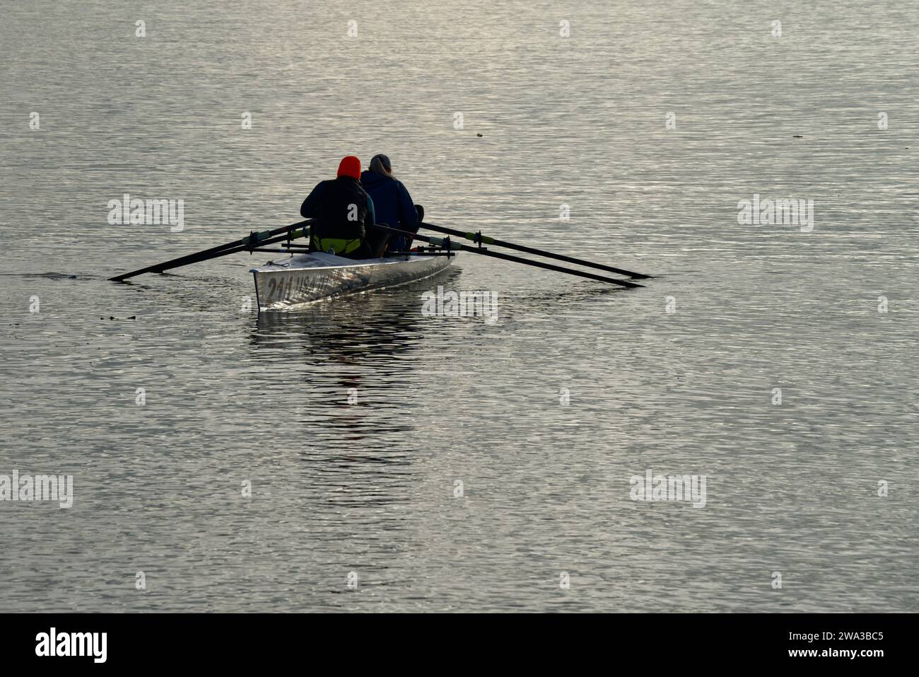 Rowing sculls in Sidney waters Stock Photo - Alamy