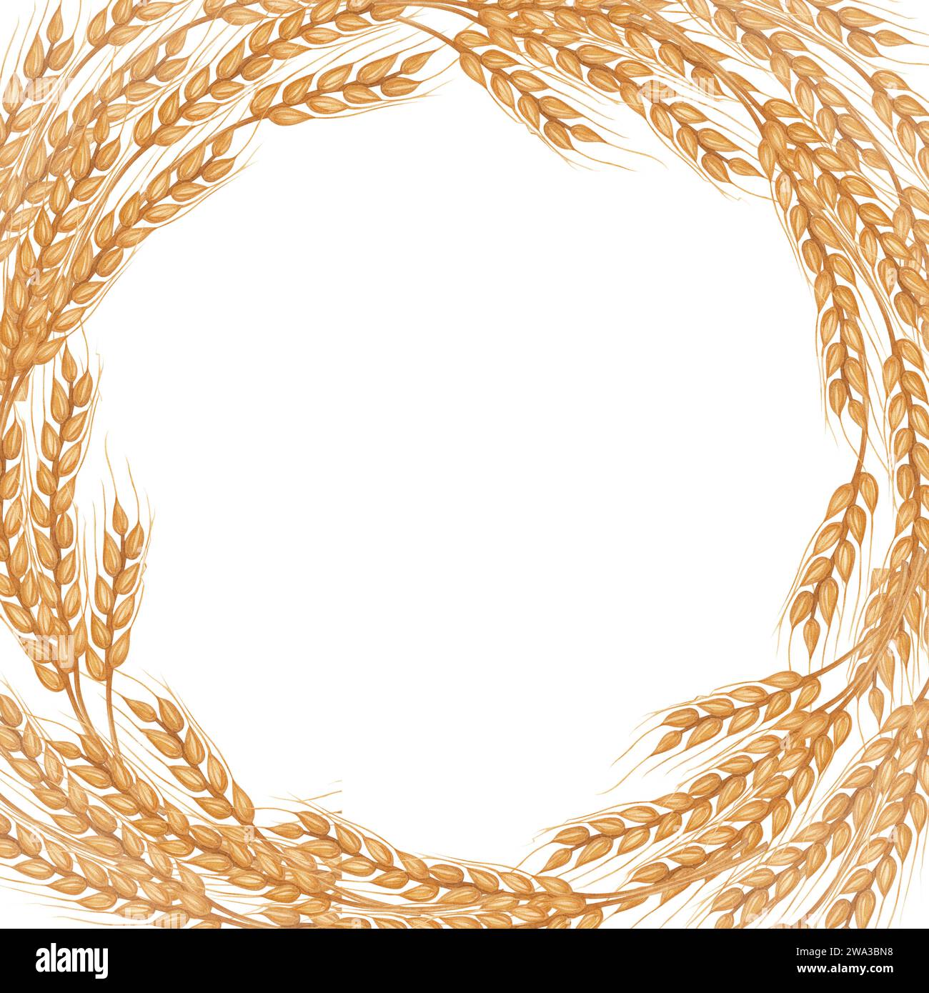 Round frame wreath wheat oats rye spike spikelets, cereal product ...