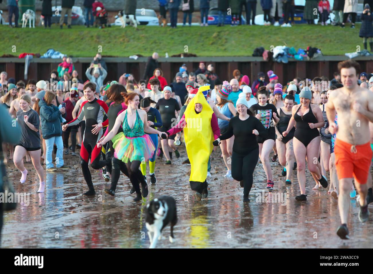 Fife, Scotland, UK. 01st Jan, 2024. New Years Day Dook,Monday 1st of ...