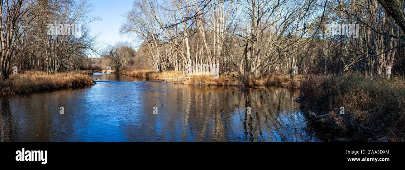Rib River flowing through a Wisconsin forest, panorama Stock Photo - Alamy