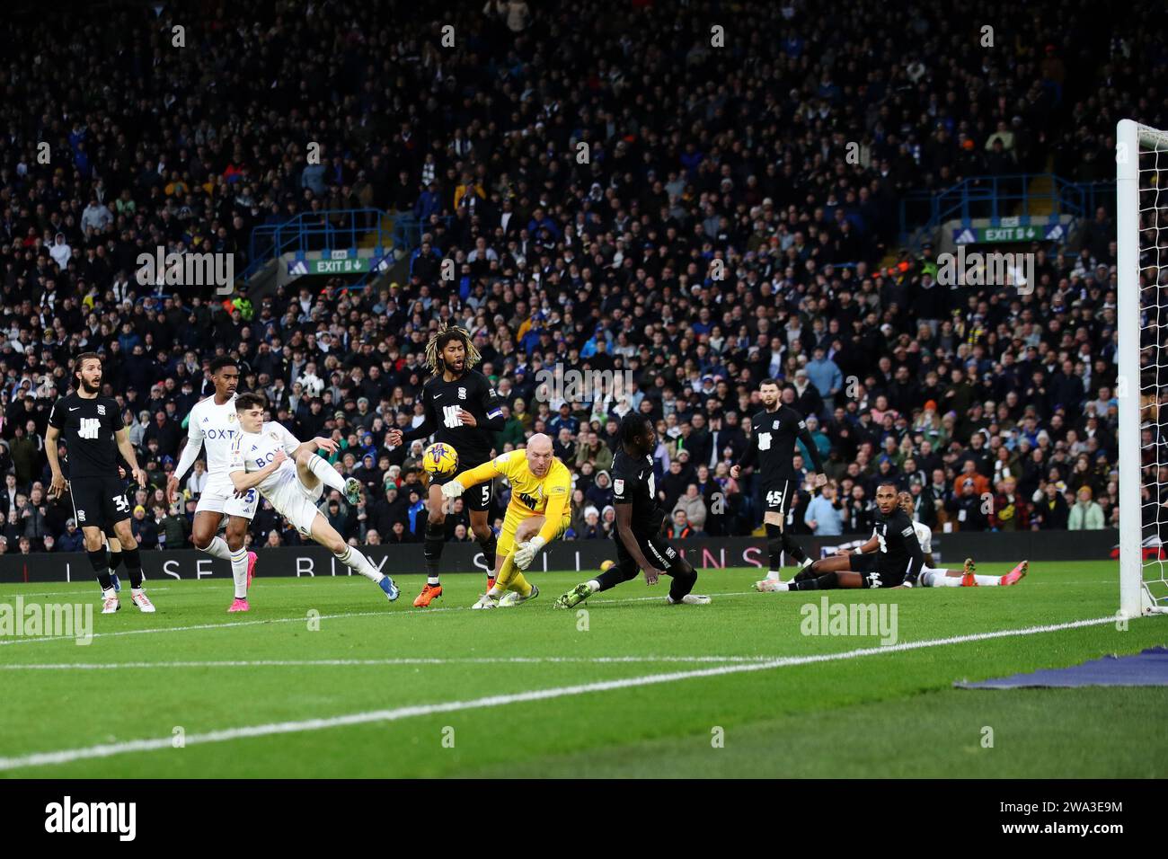 Dan james leeds 2024 hi-res stock photography and images - Alamy