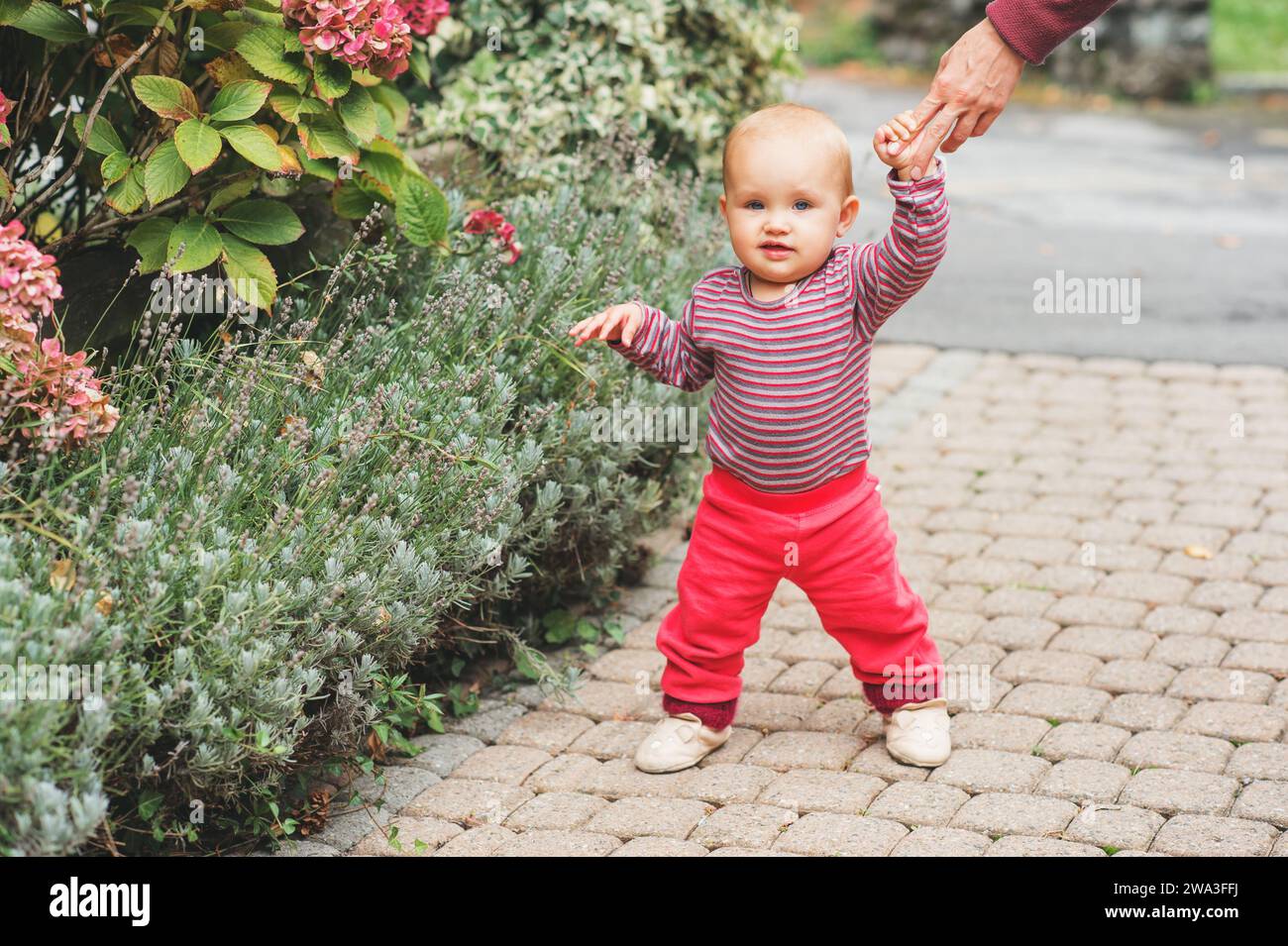 Adorable baby girl of 9-12 months old playing outside, wearing pink ...