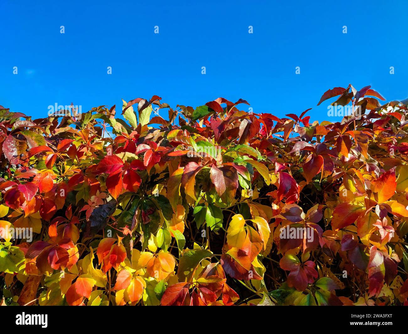 Background horizontal sky hi-res stock photography and images - Alamy