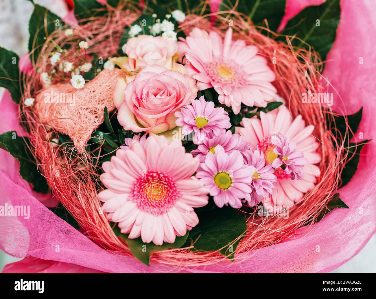Cute flowers pink color hi-res stock photography and images - Alamy