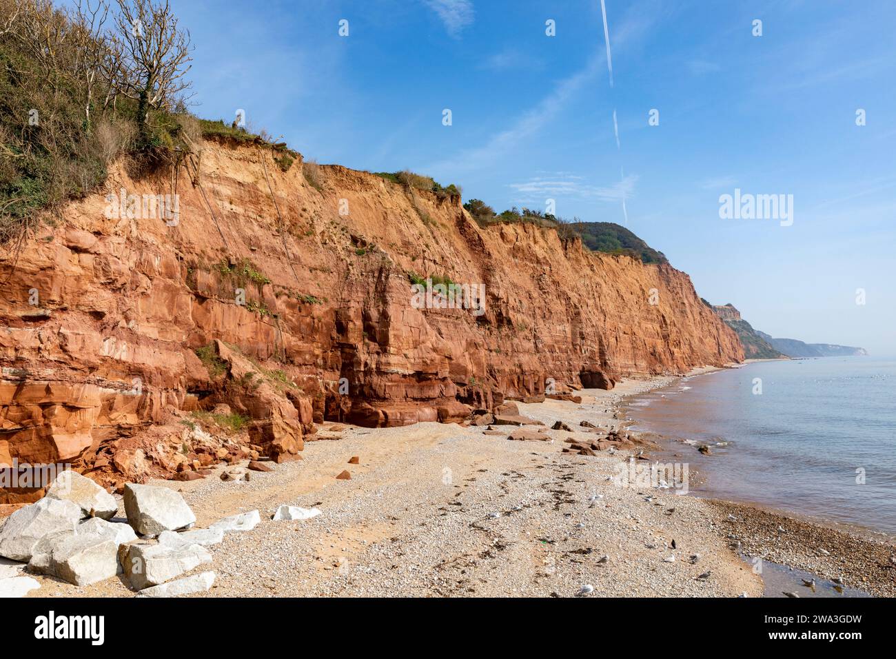 Sidmouth Devon and its dramatic jurassic coastline, red cliffs triassic ...