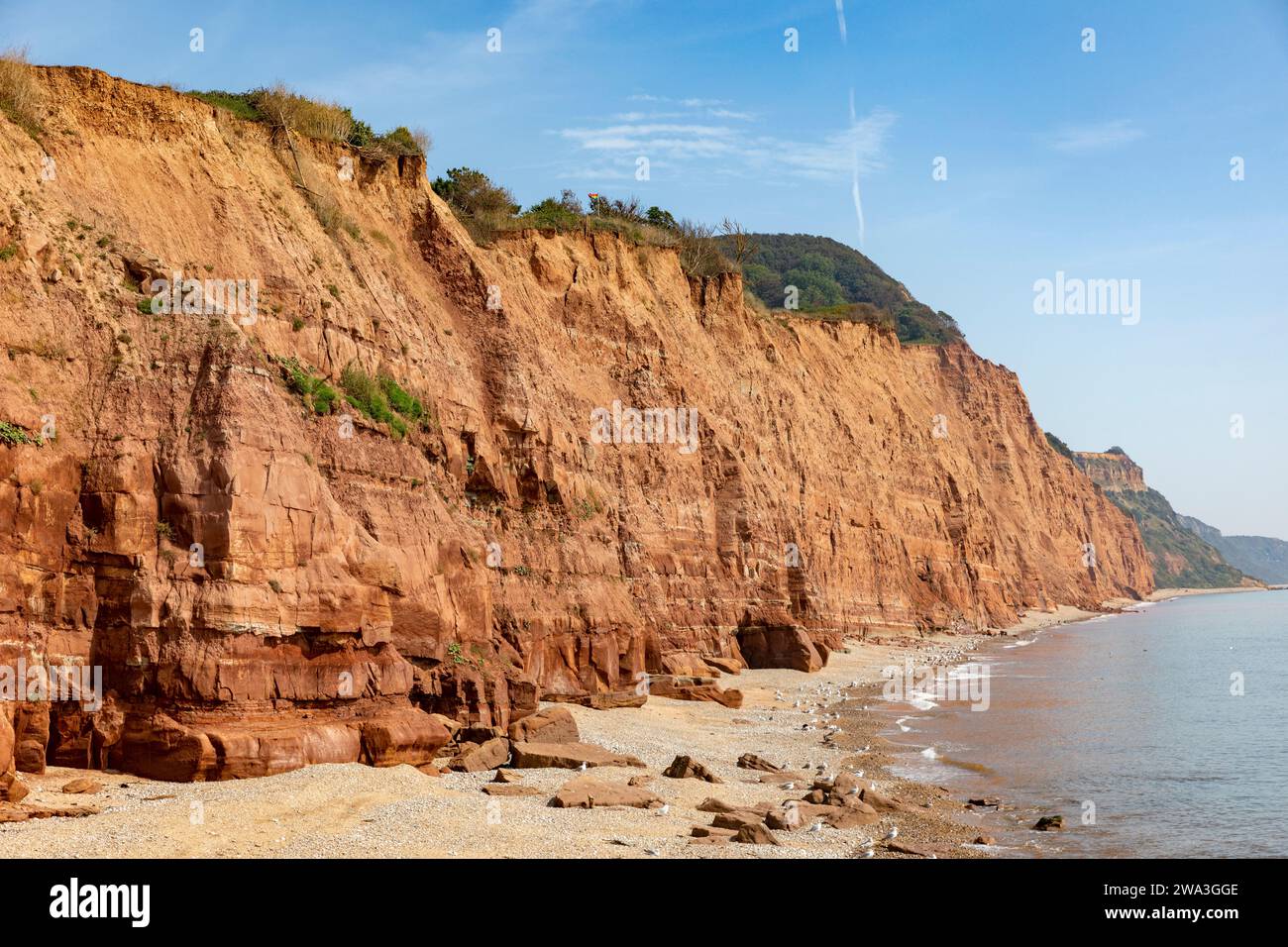 Sidmouth Devon and its jurassic coastline, red cliffs triassic period ...