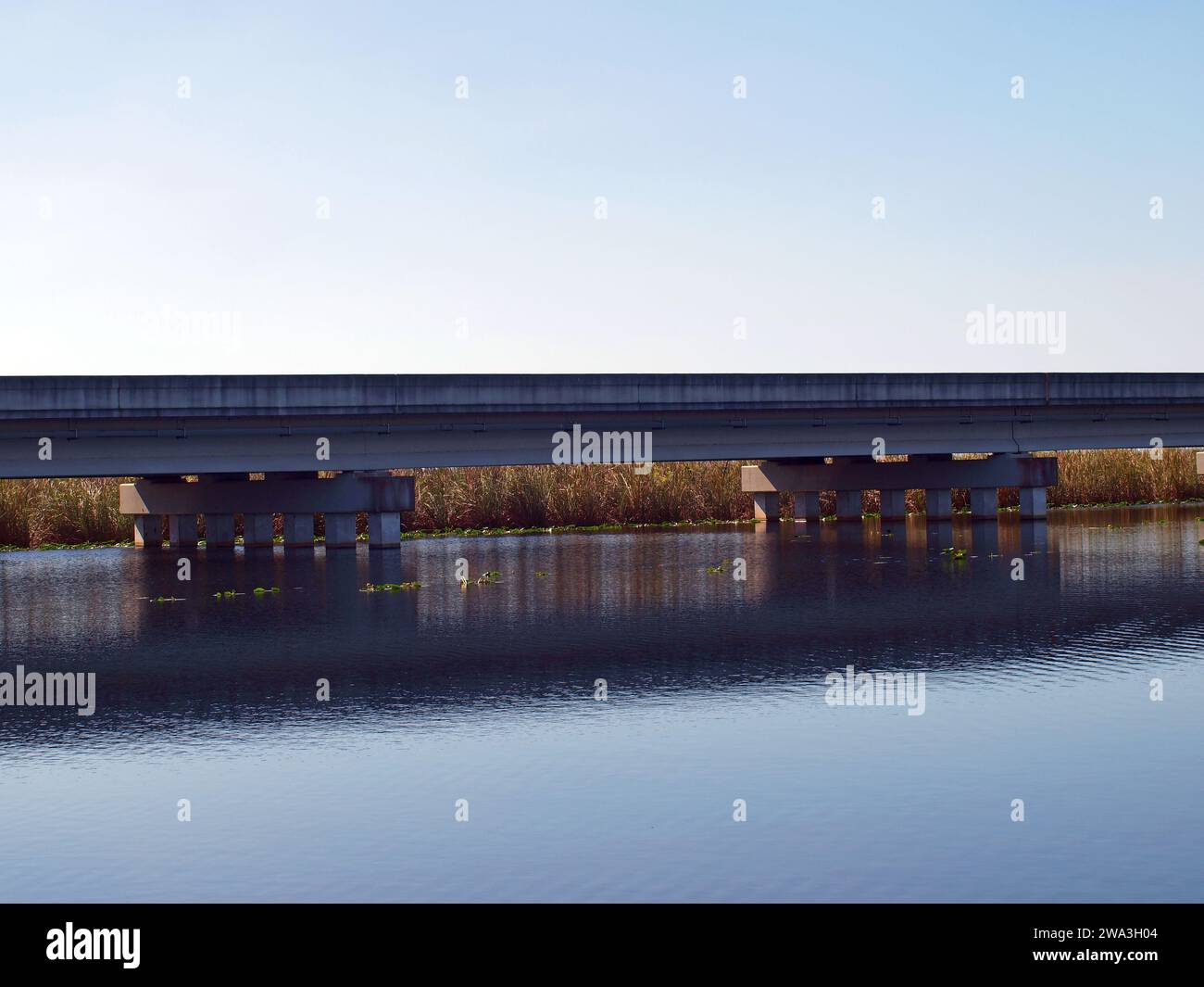 Details of pilots in the new long bridges built in the Tamiami Trail as ...