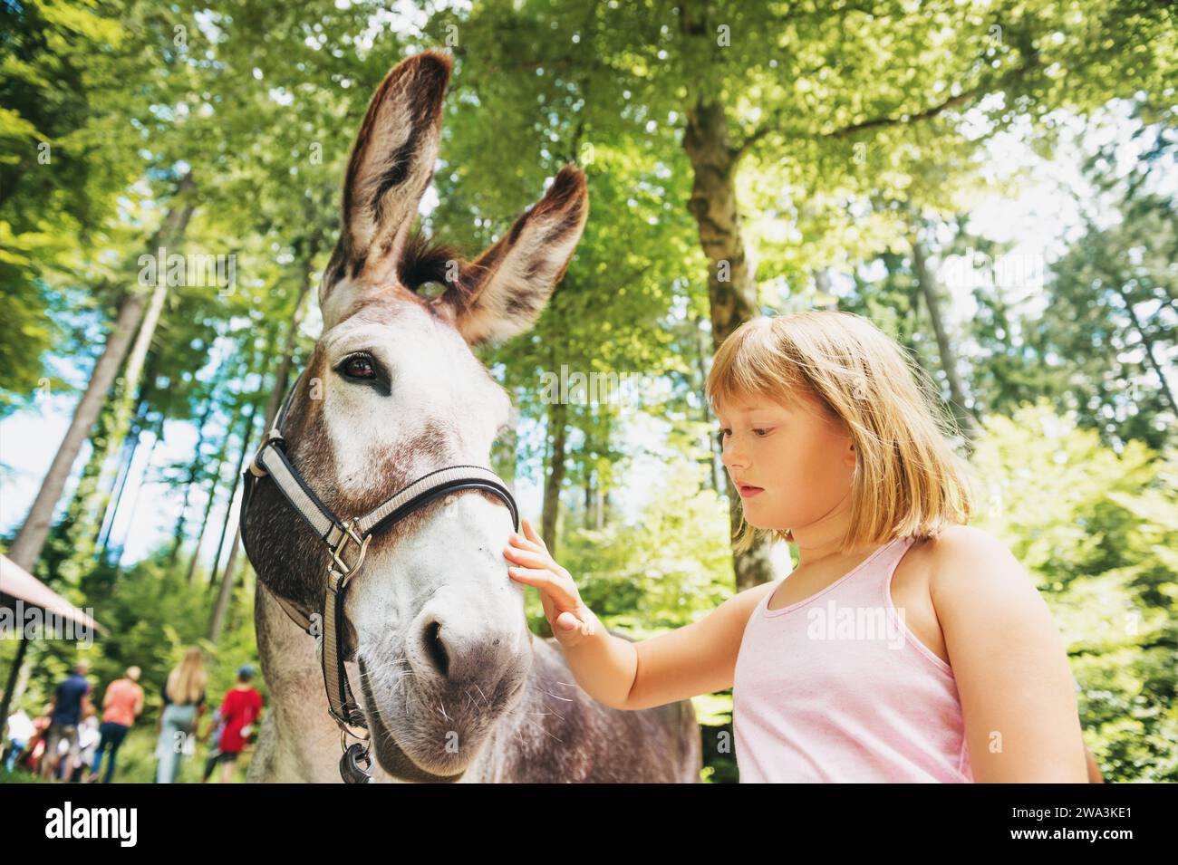 Little girl hiking with donkeys in summer camp for children Stock Photo ...
