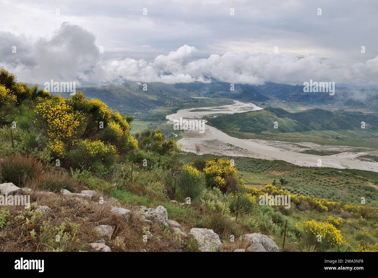 View from the Byllis Archaeological Park over flowering broom into the ...