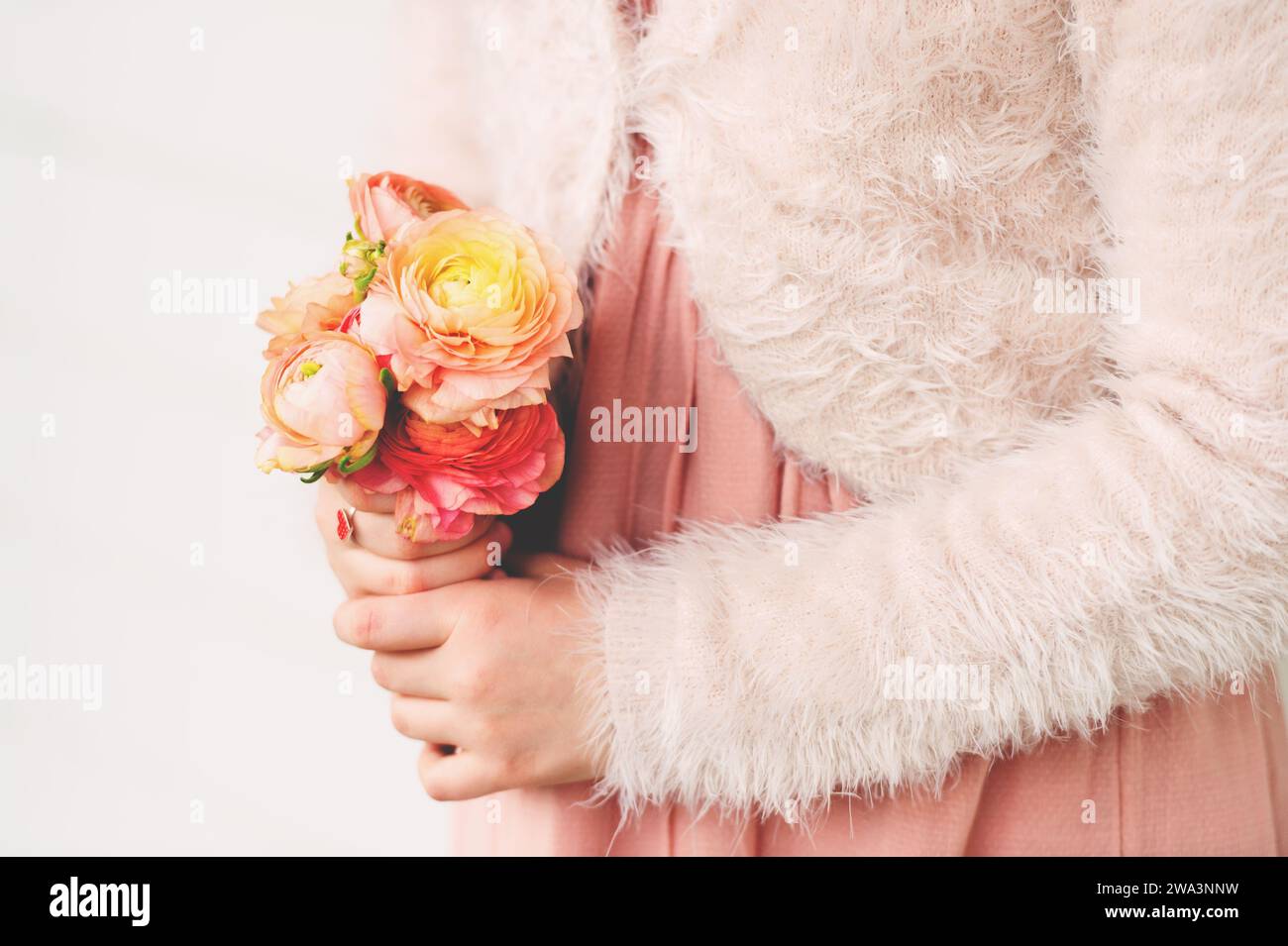 Beautiful bouquet of soft pink ranunculus in child's hands Stock Photo ...