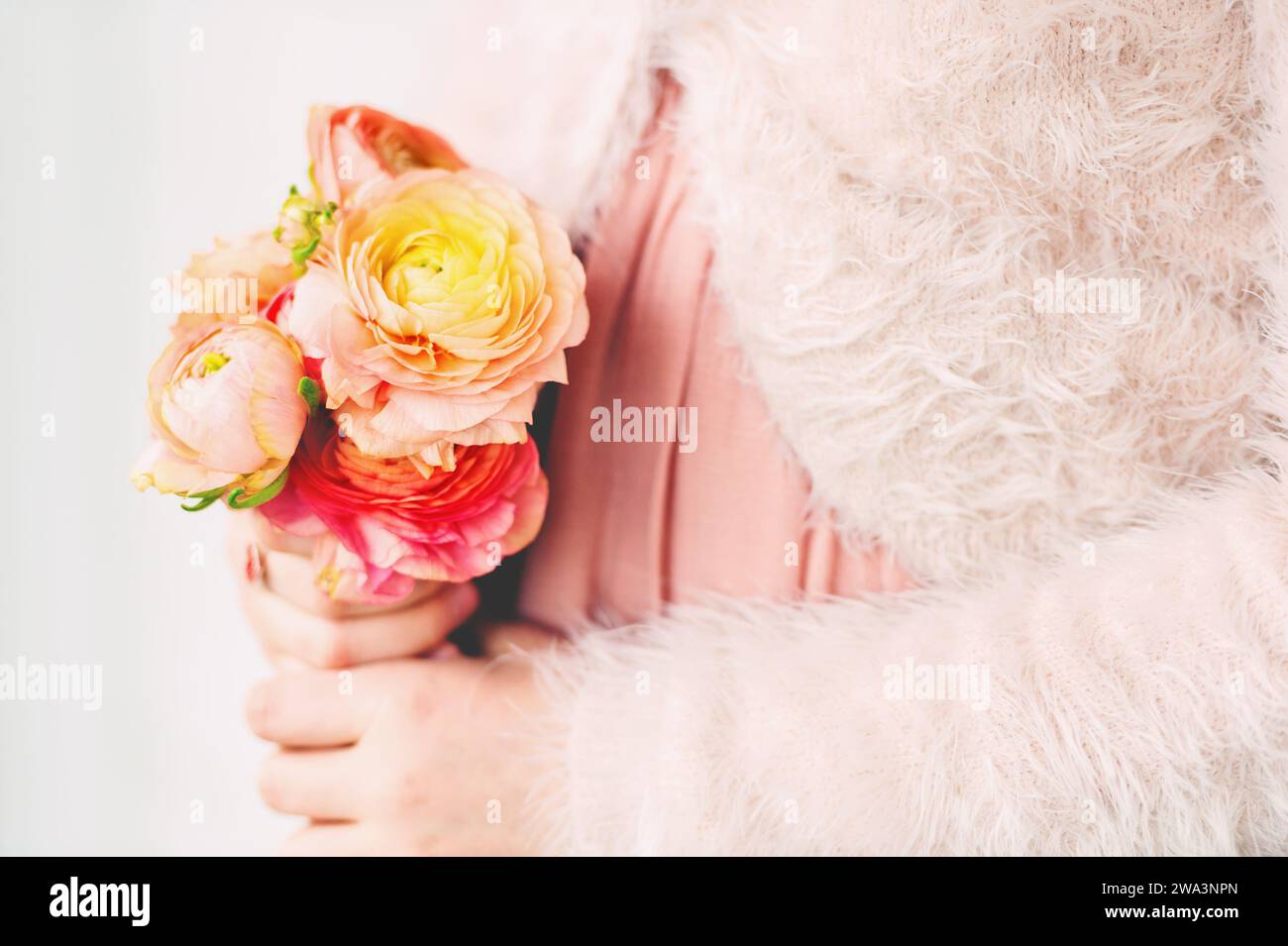 Beautiful bouquet of soft pink ranunculus in child's hands Stock Photo ...