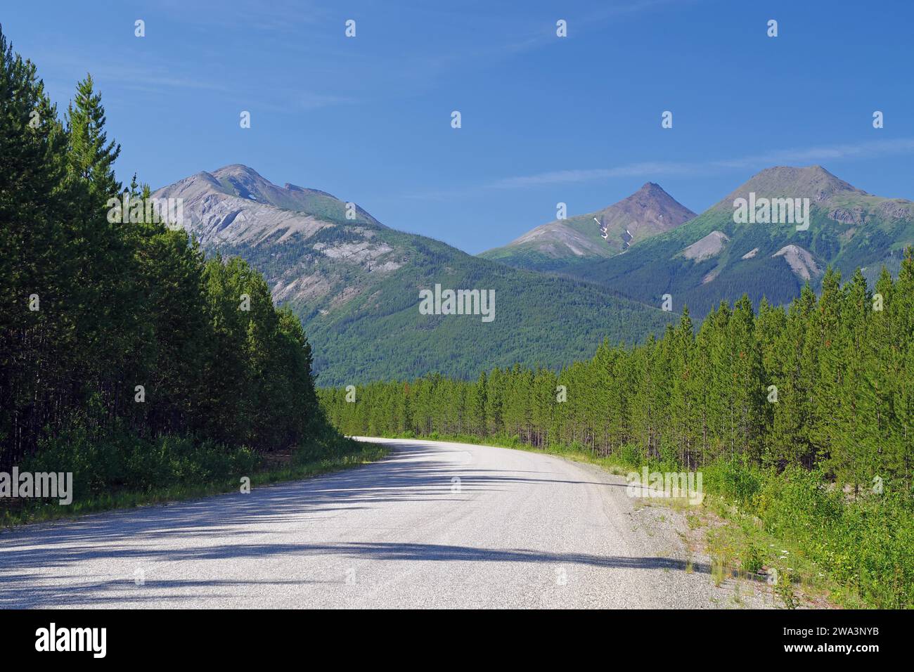 Narrow, traffic-free road leads through forest and impressive mountain ...