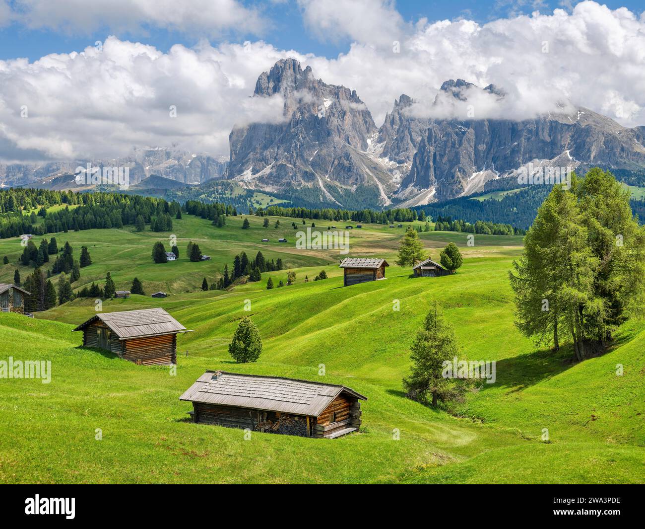 Spring on the Seiser Alm, alpine huts with Plattkofel and Langkofel ...
