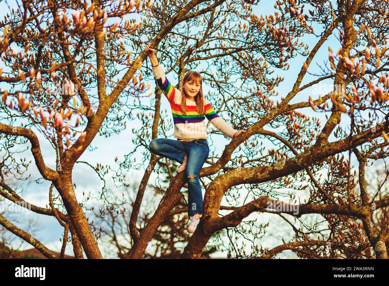 Happy kid girl playing on magnolia tree in early spring at sunset Stock ...