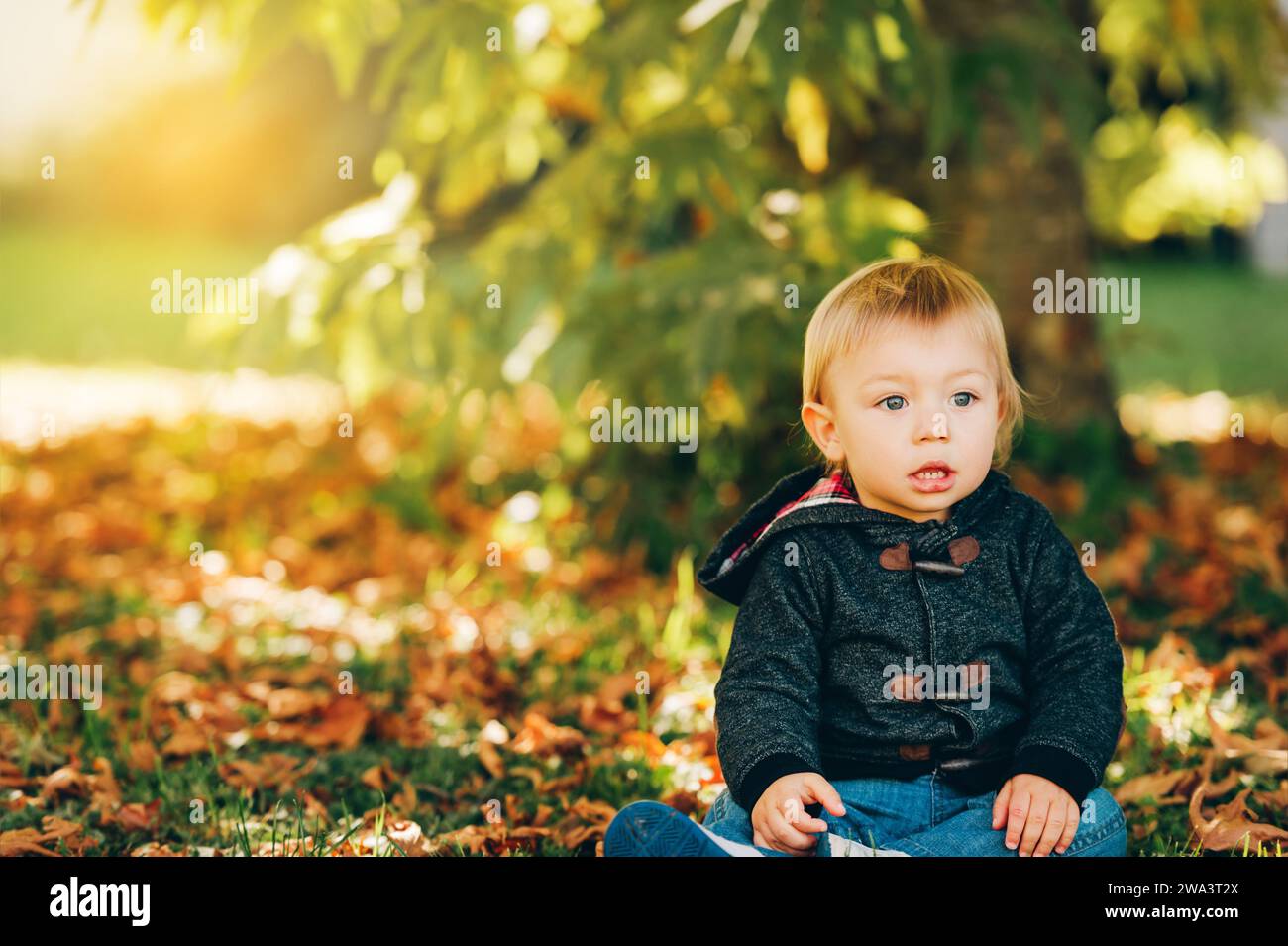 Adorable 1 year old toddler boy playing in the park on a nice sunny day ...