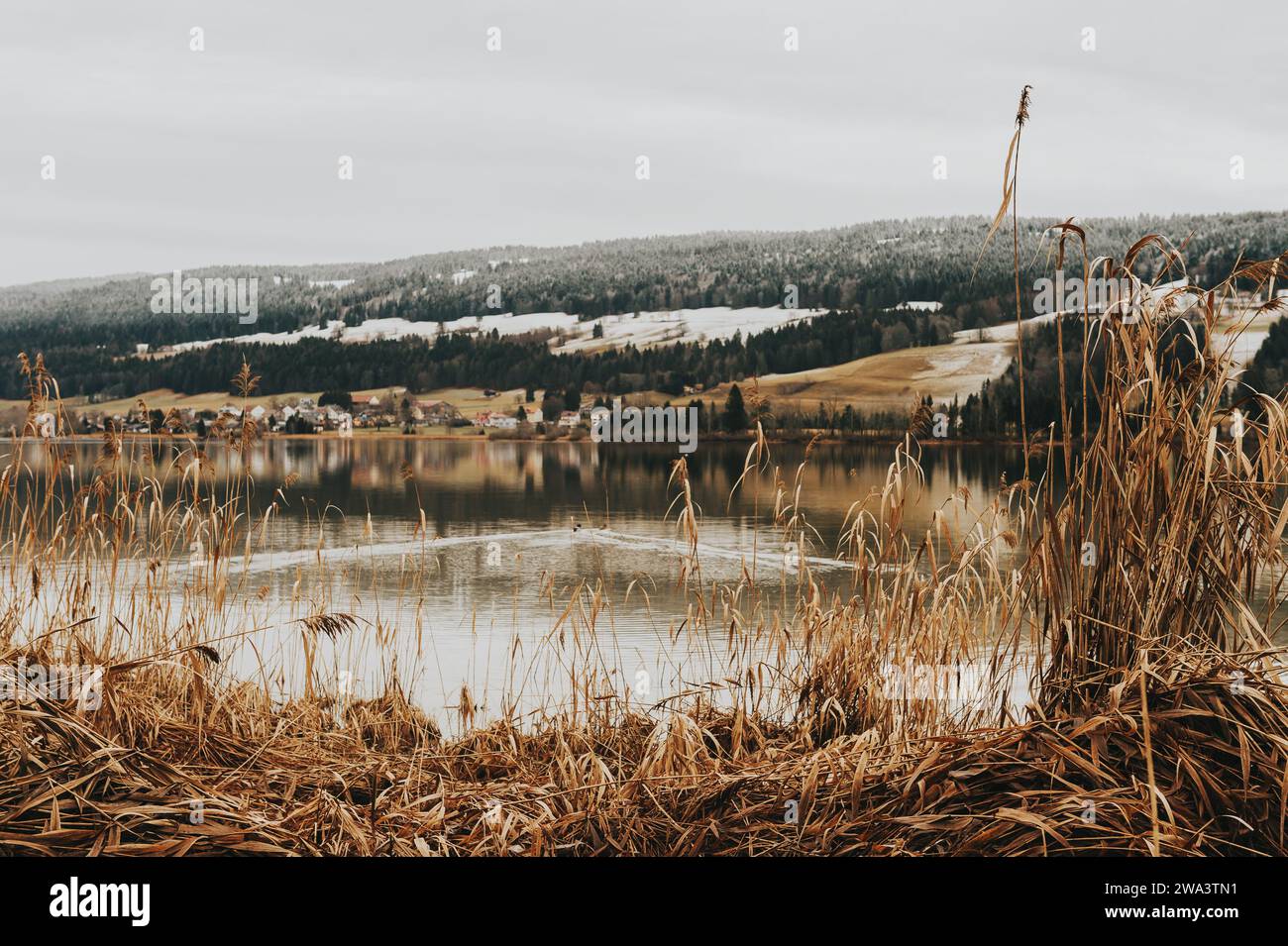 Autumn landscape of Joux Lake, Canton of Vaud, Switzerland Stock Photo ...
