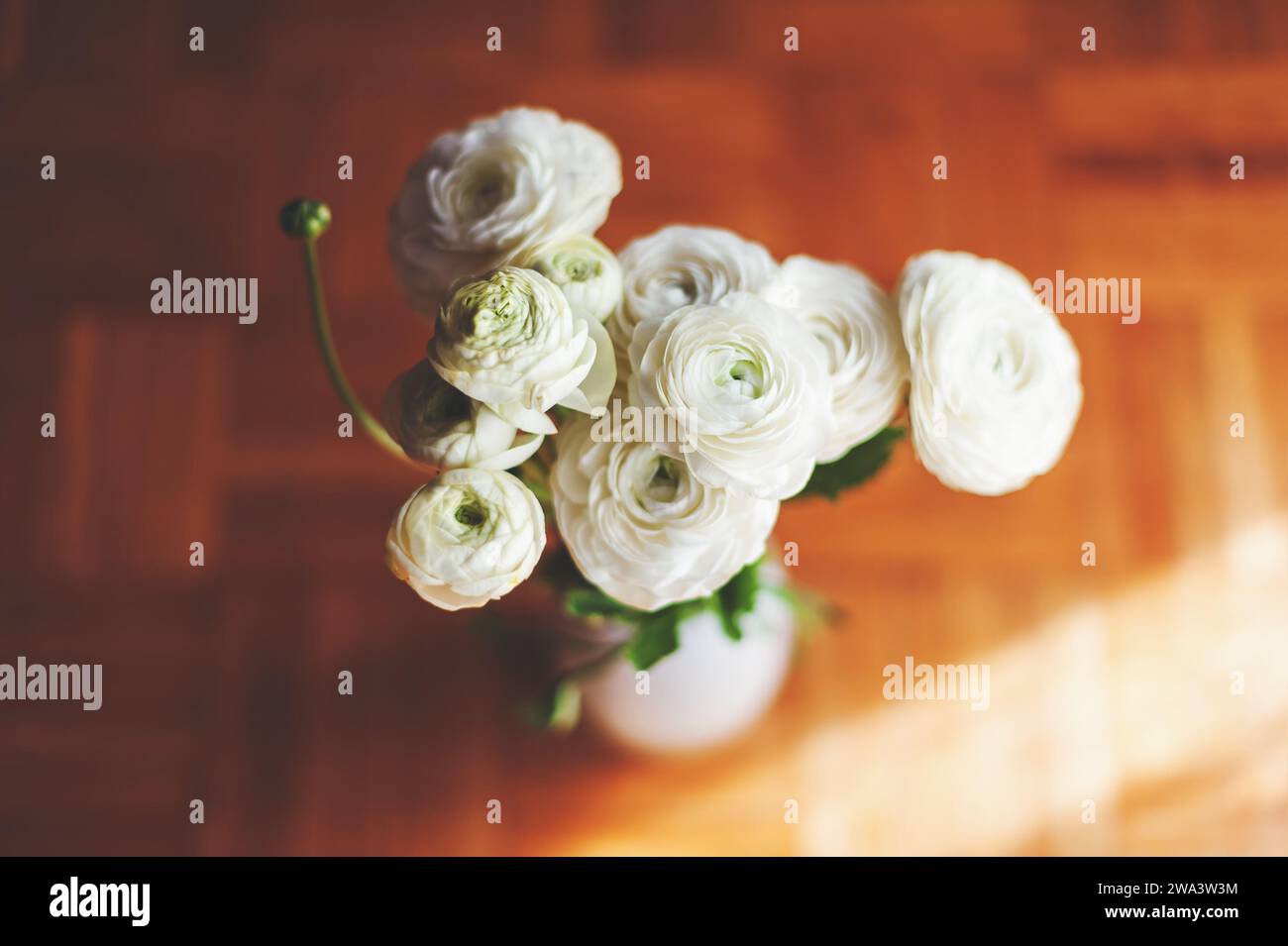Micro flower bouquet hi-res stock photography and images - Alamy