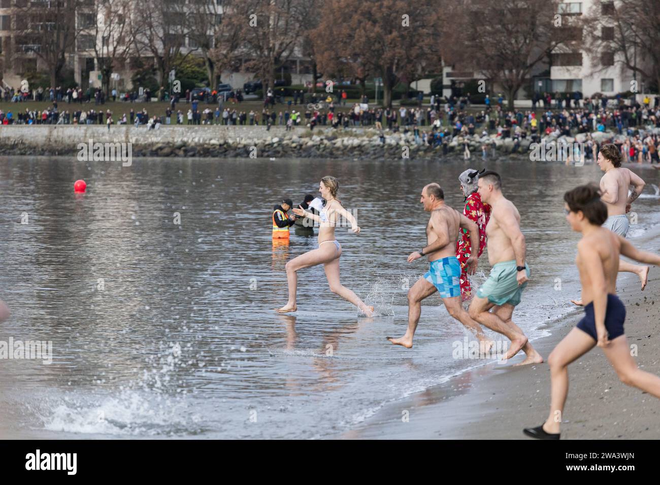 Annual polar bear swim bay hi-res stock photography and images - Alamy