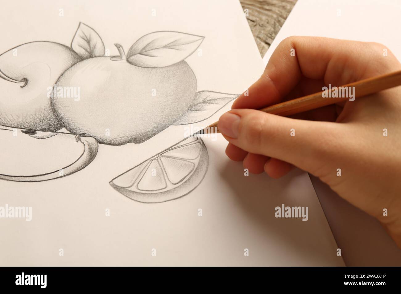 Pencil drawing fruits hi-res stock photography and images - Alamy