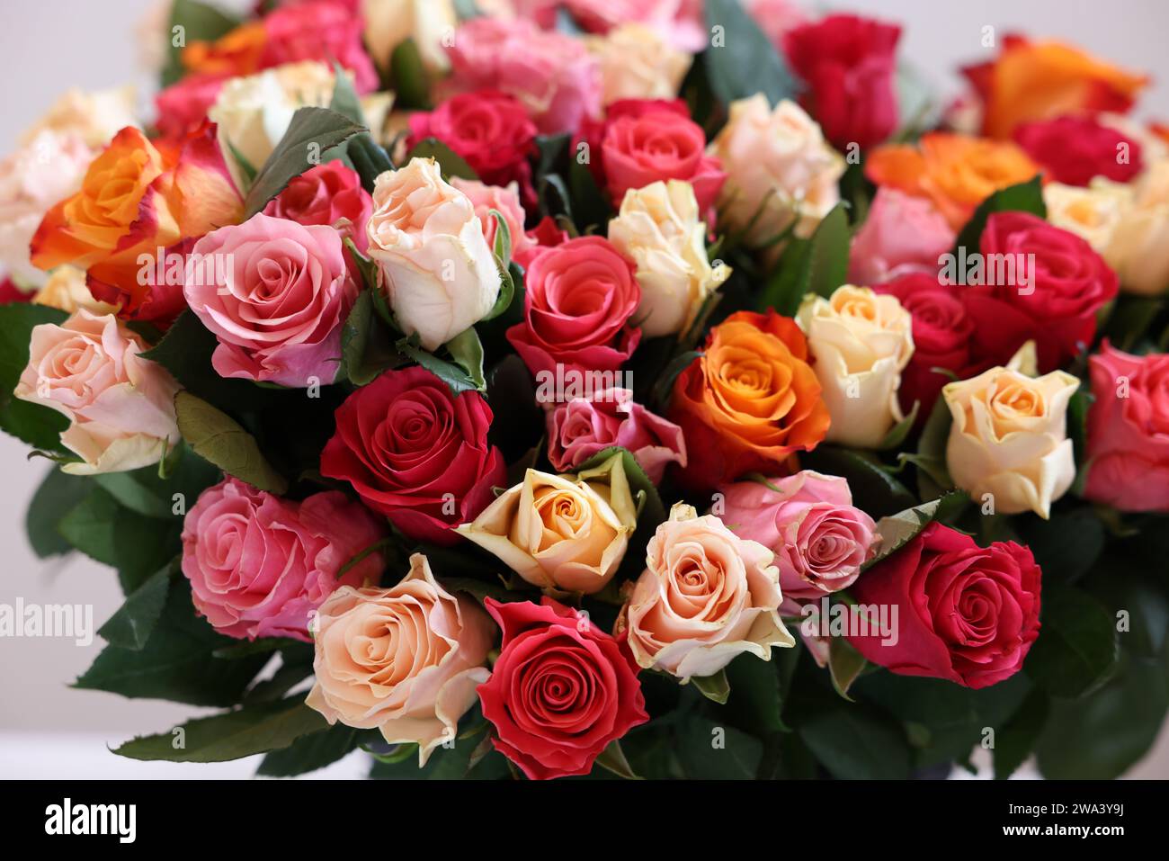Bouquet of beautiful roses on light grey background, closeup Stock ...