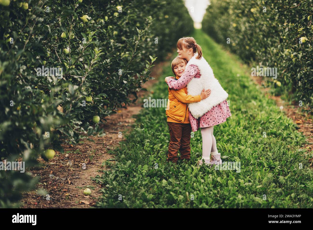 Two funny kids playing in green apple orchard, happy childhood in ...