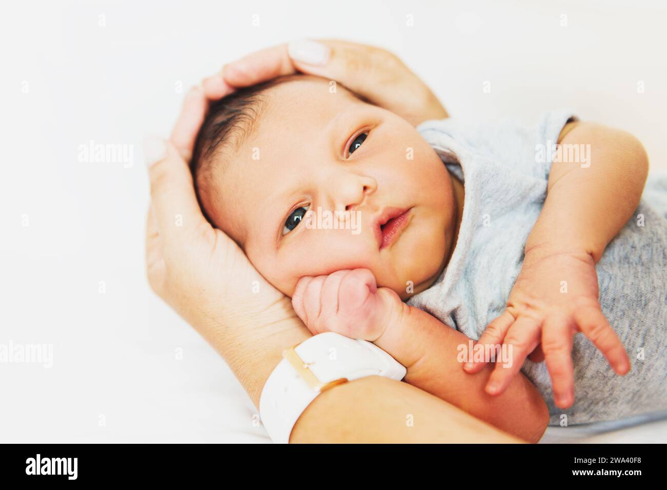 Adorable one day old baby holding by a parent Stock Photo - Alamy
