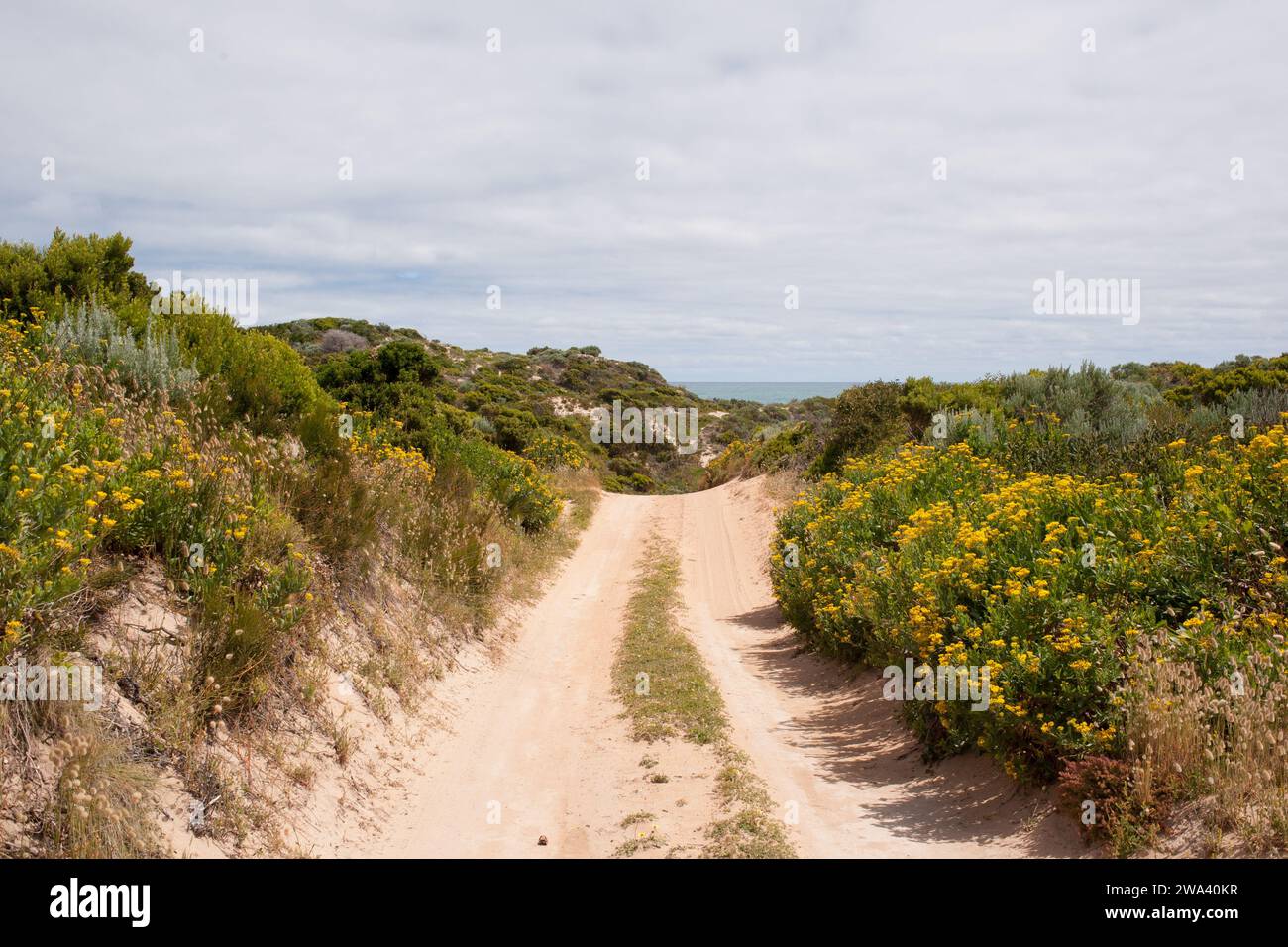 Little dip conservation park hi-res stock photography and images - Alamy