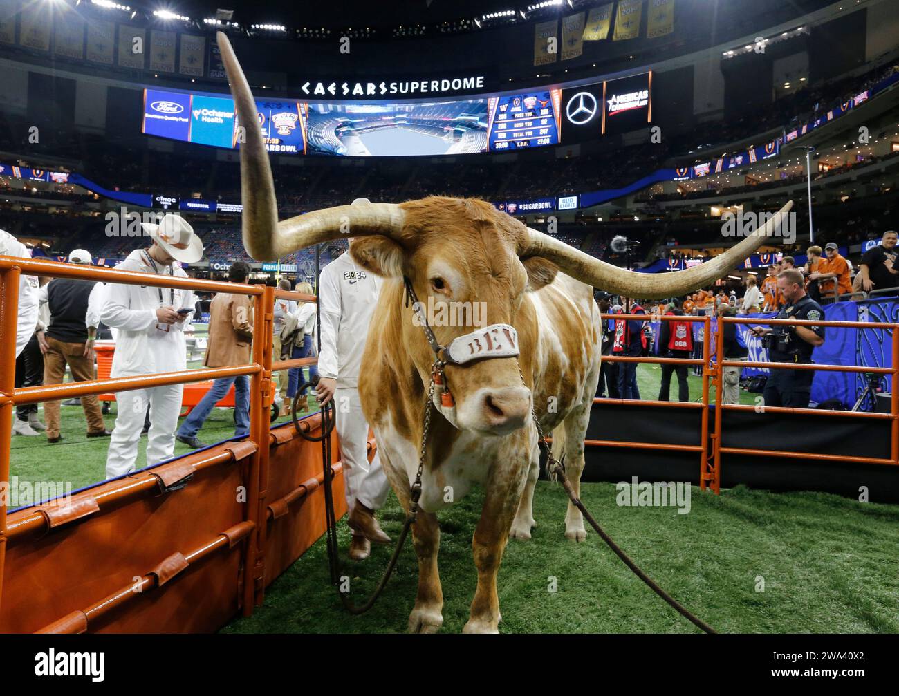New Orleans, United States. 02nd Jan, 2024. Texas Longhorn mascot Bevo ...