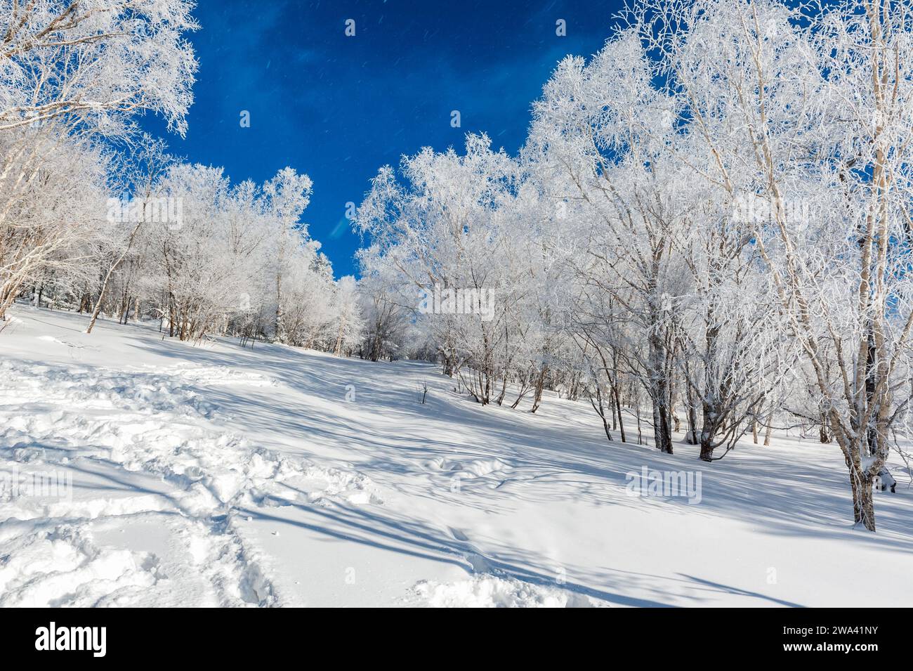 Lao Rik soft rime landscape, at the junction of Helong city and Antu ...