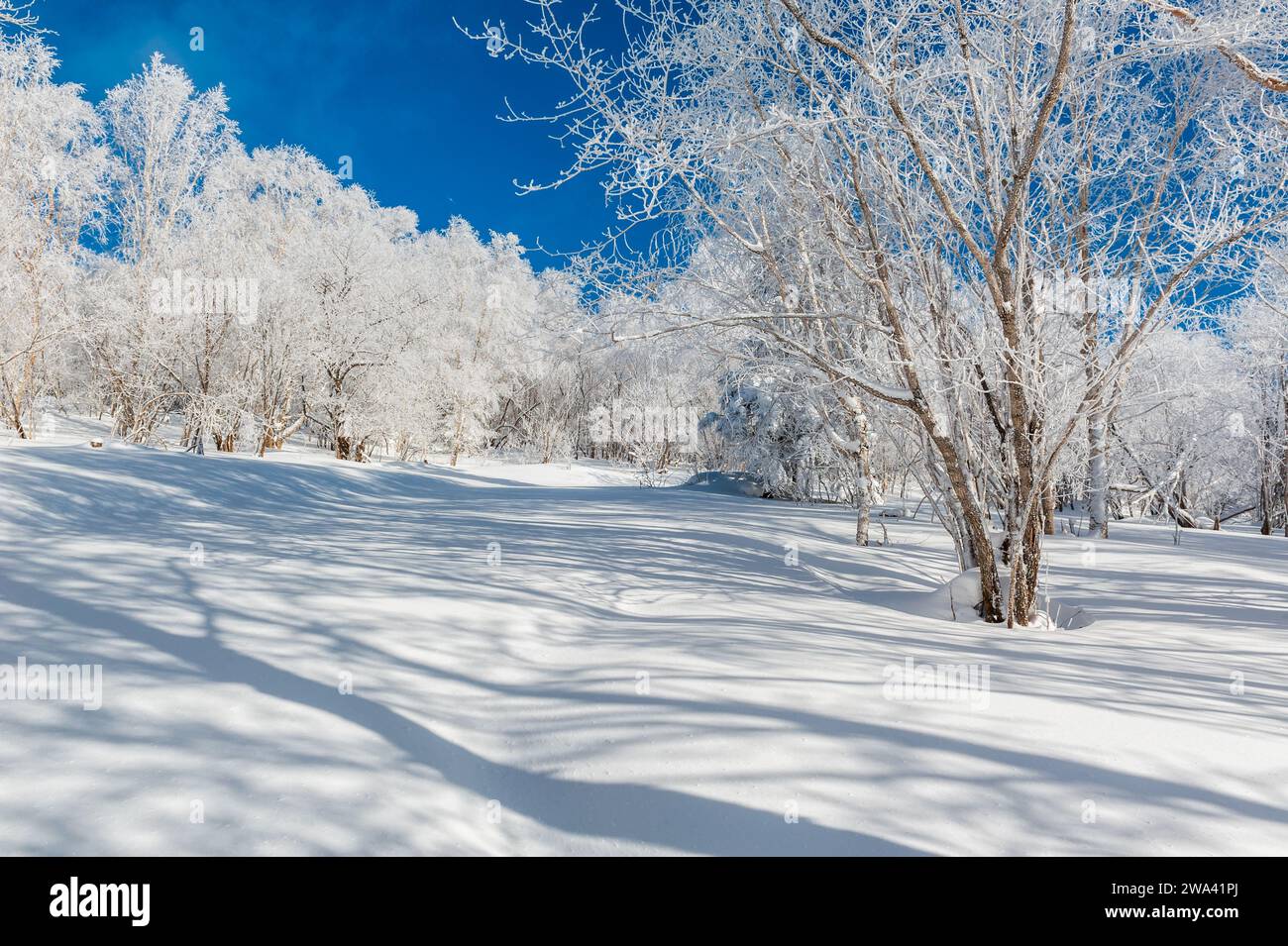 Lao Rik soft rime landscape, at the junction of Helong city and Antu ...