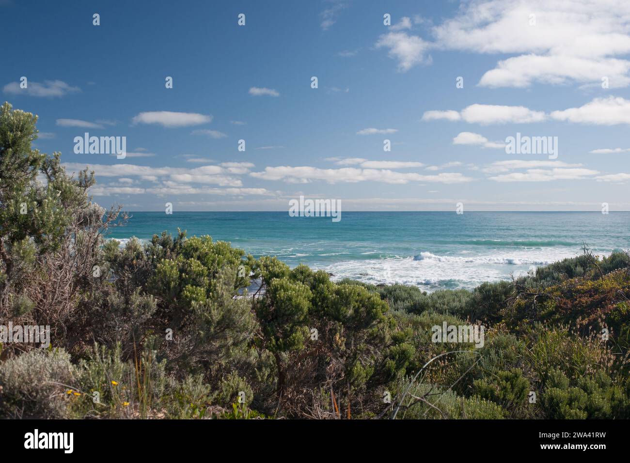 Little Dip conservation park a few kilometeres outside of Robe, South ...