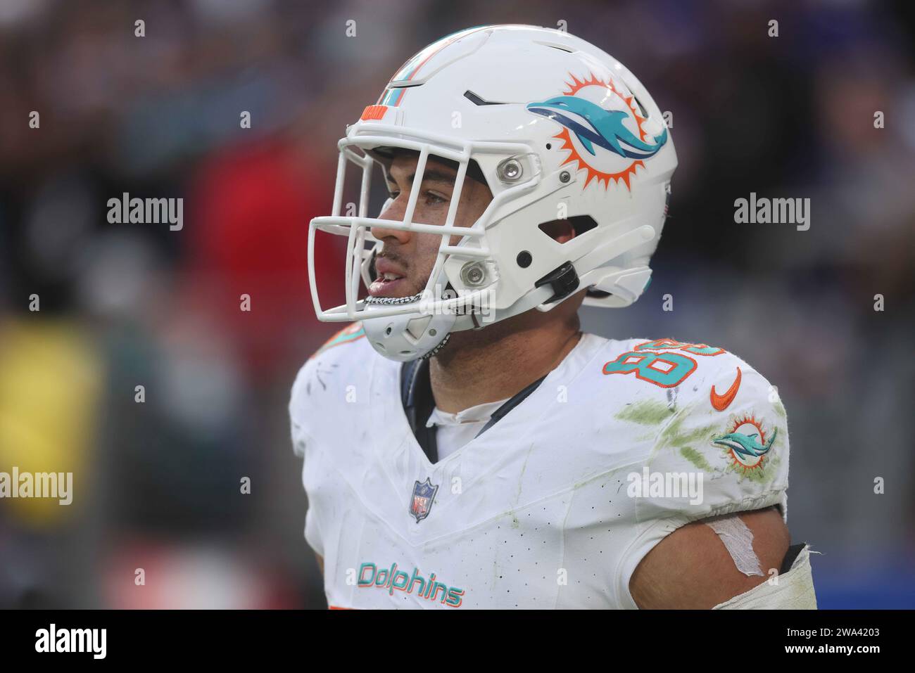 Baltimore, MD, USA. 31st Dec, 2023. Miami Dolphins TE Julian Hill (89 ...