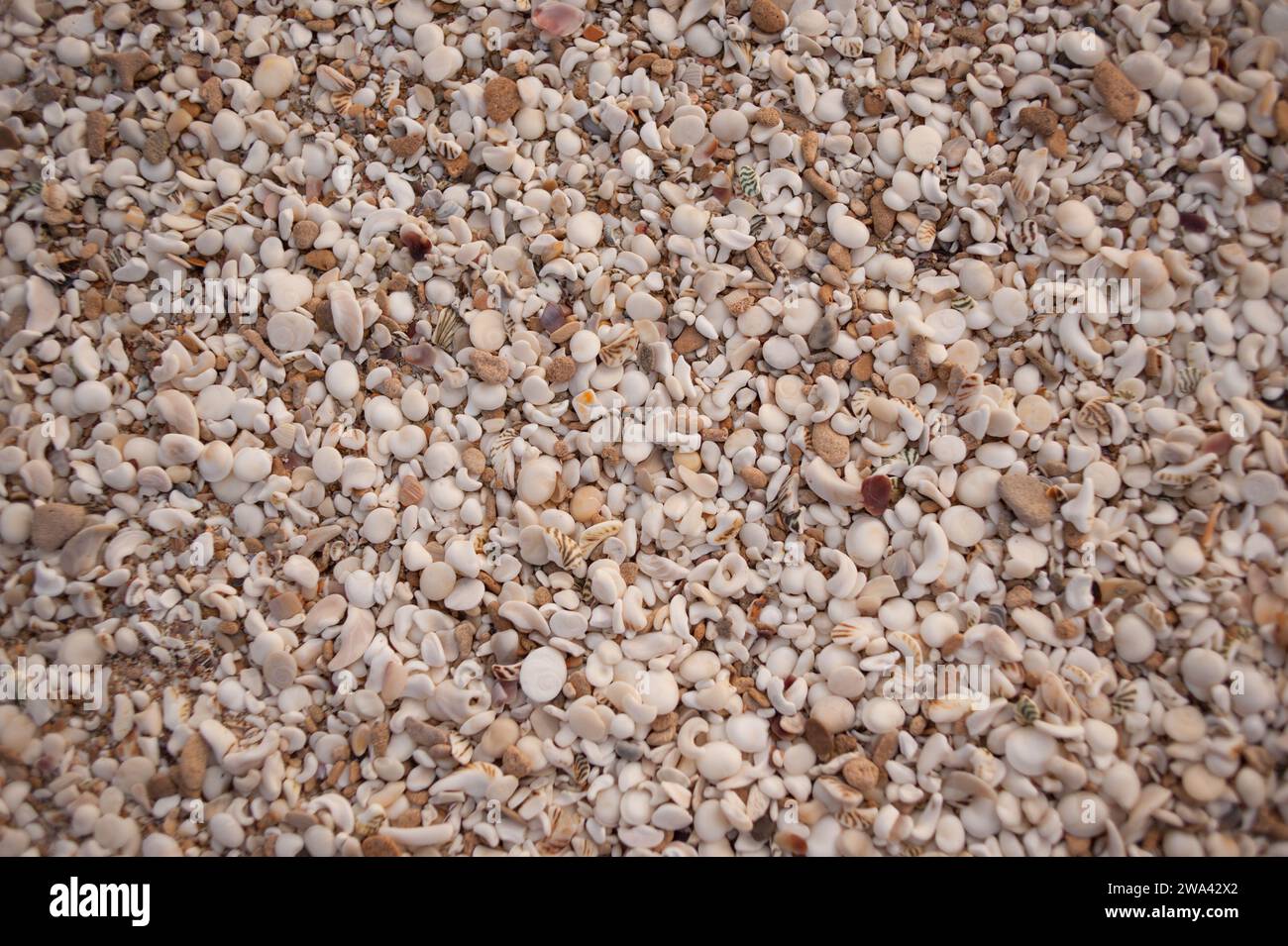 Soft image hi-res stock photography and images - Alamy