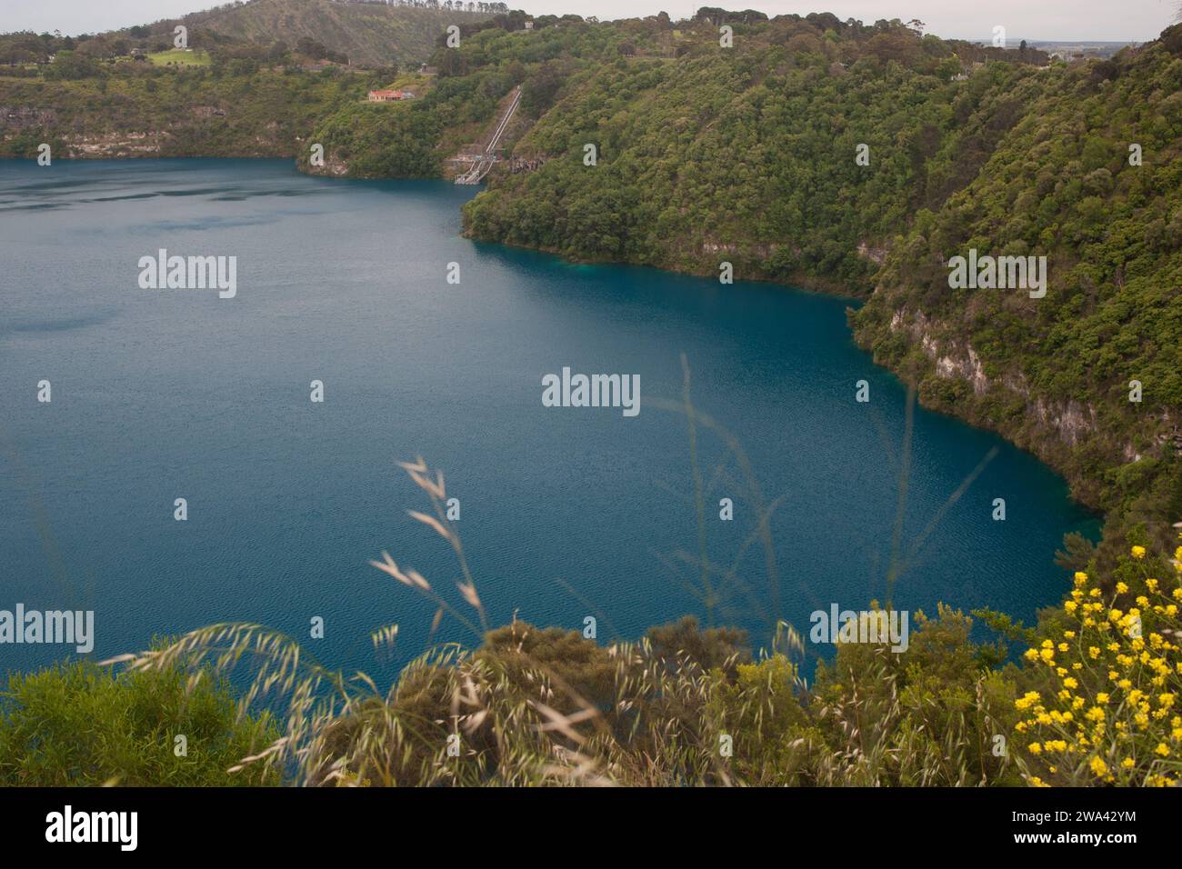 Blue Lake in Mount Gambier, South Australia Stock Photo - Alamy