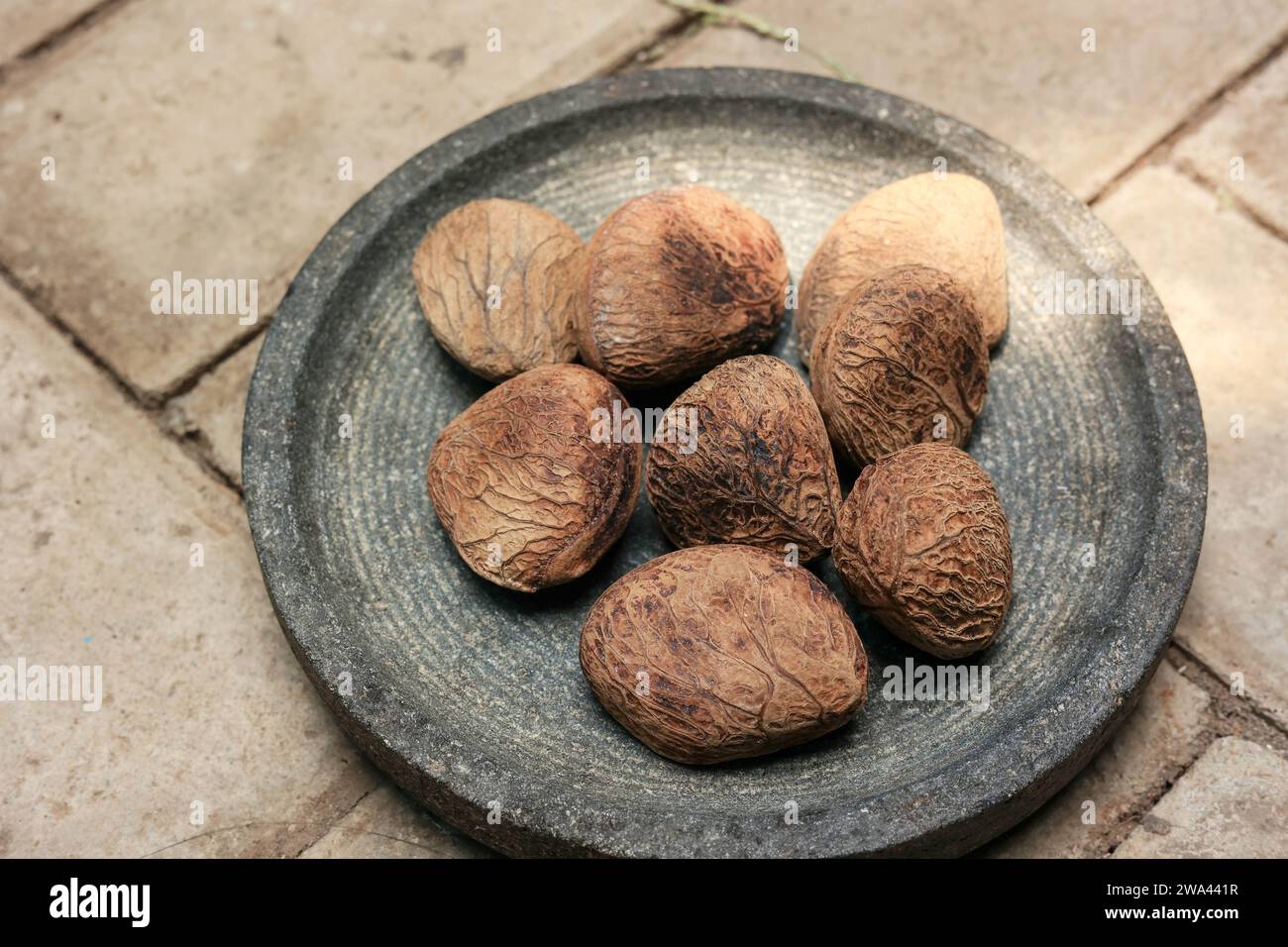 Blacknut hi-res stock photography and images - Alamy