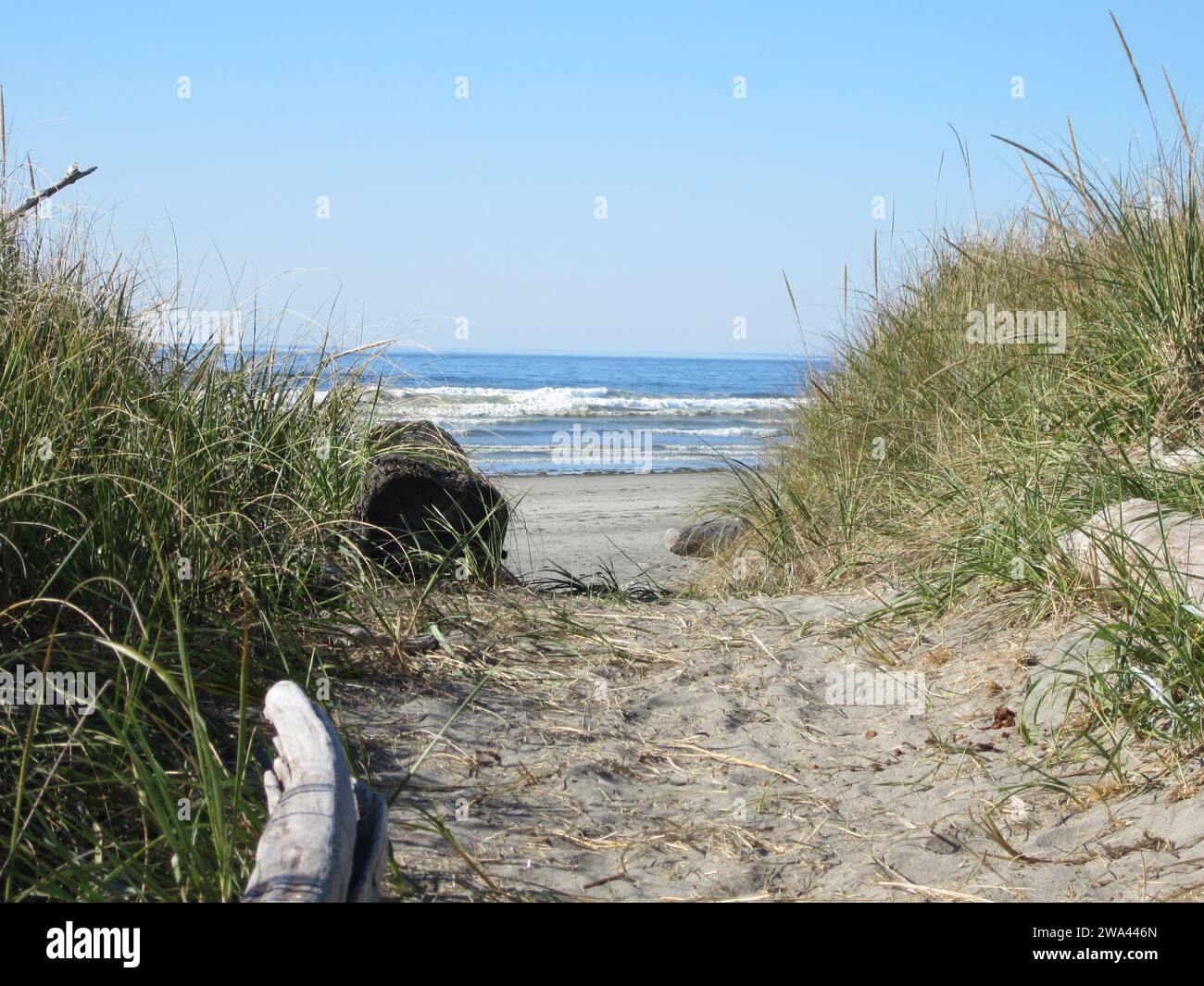 Dunes aerial pacific ocean hi-res stock photography and images - Alamy