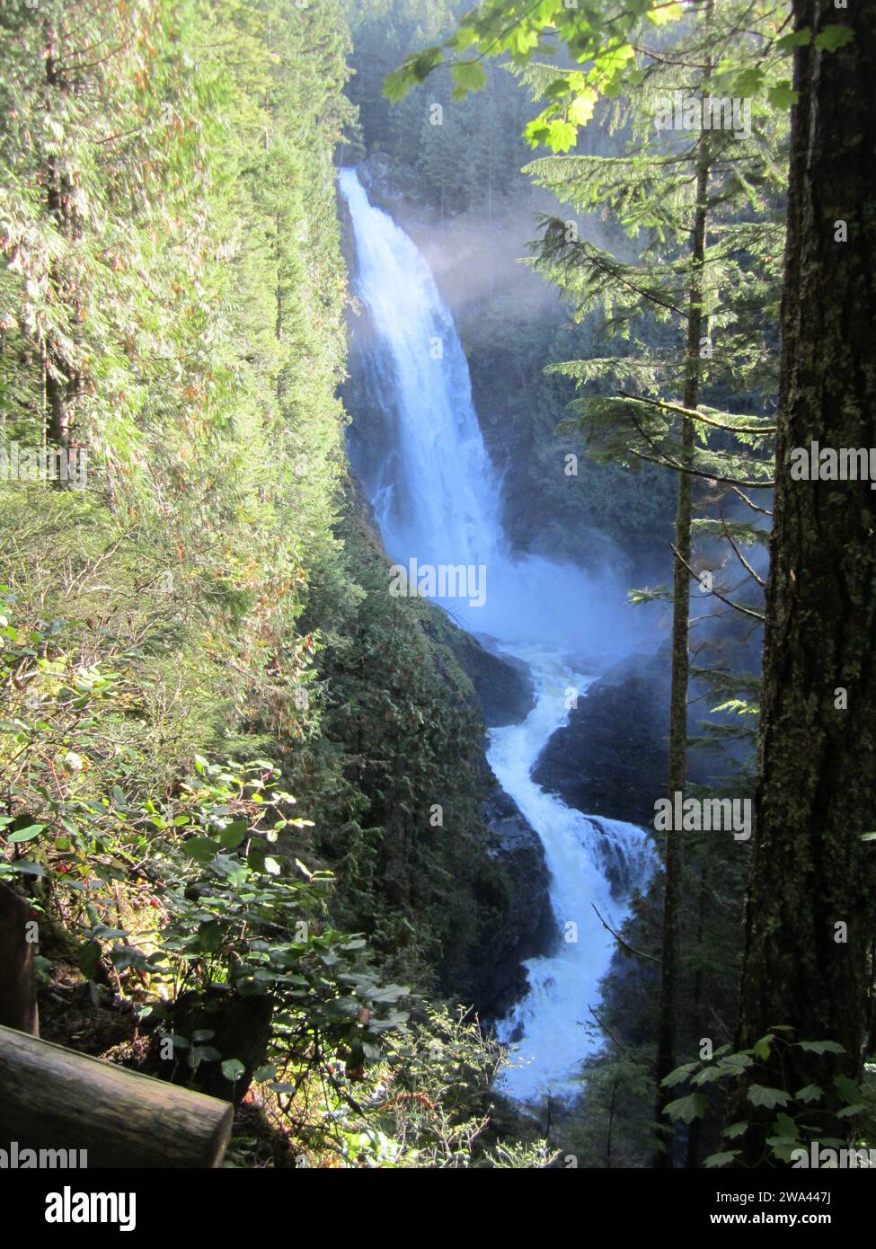 Wallace falls trail hi-res stock photography and images - Alamy