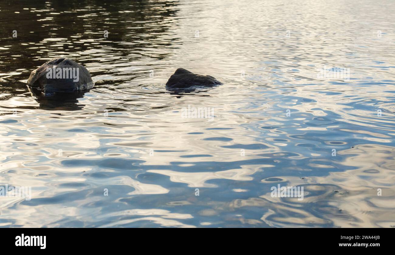 Round stones in the shore water on a calm and clear day in the ...