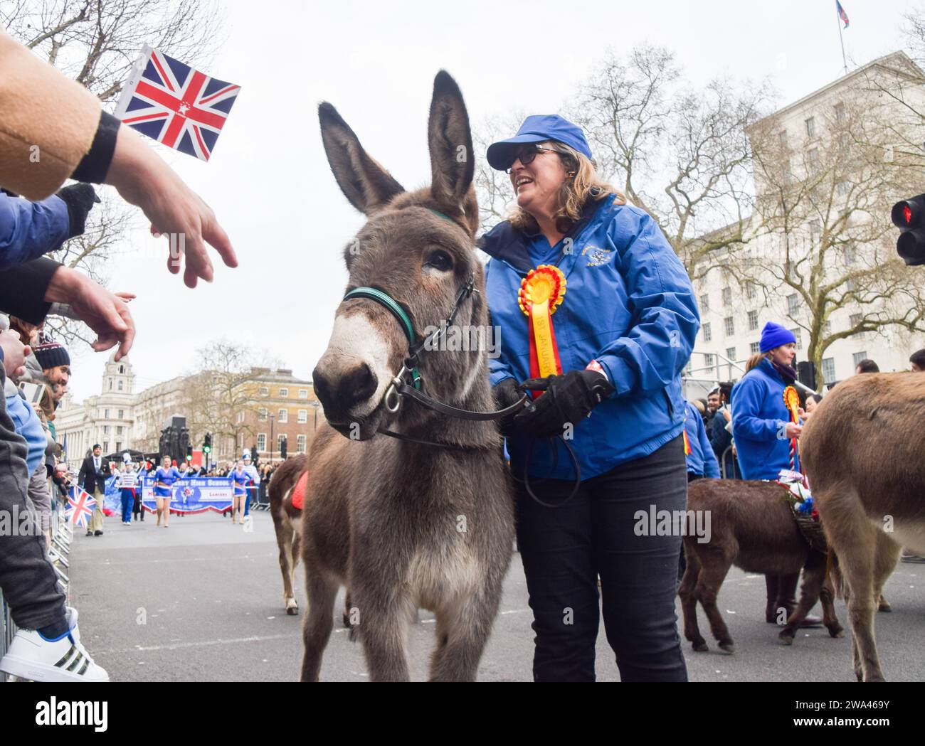 London, UK. 01st Jan, 2024. Members of the Donkey Breed Society and ...