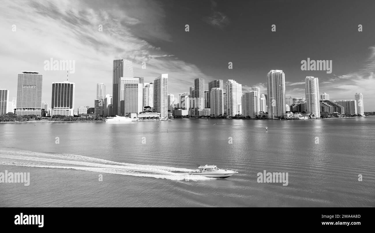 image of miami cityscape skyline of metropolis. miami cityscape skyline ...