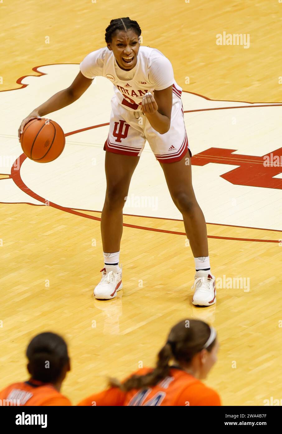 Chloe moore mcneil hi-res stock photography and images - Alamy