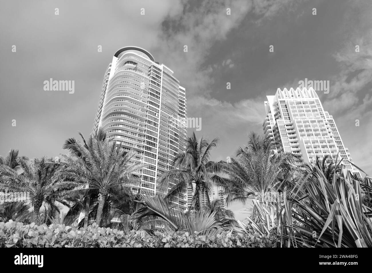 skyscraper building architecture in miami downtown metropolis. photo of ...