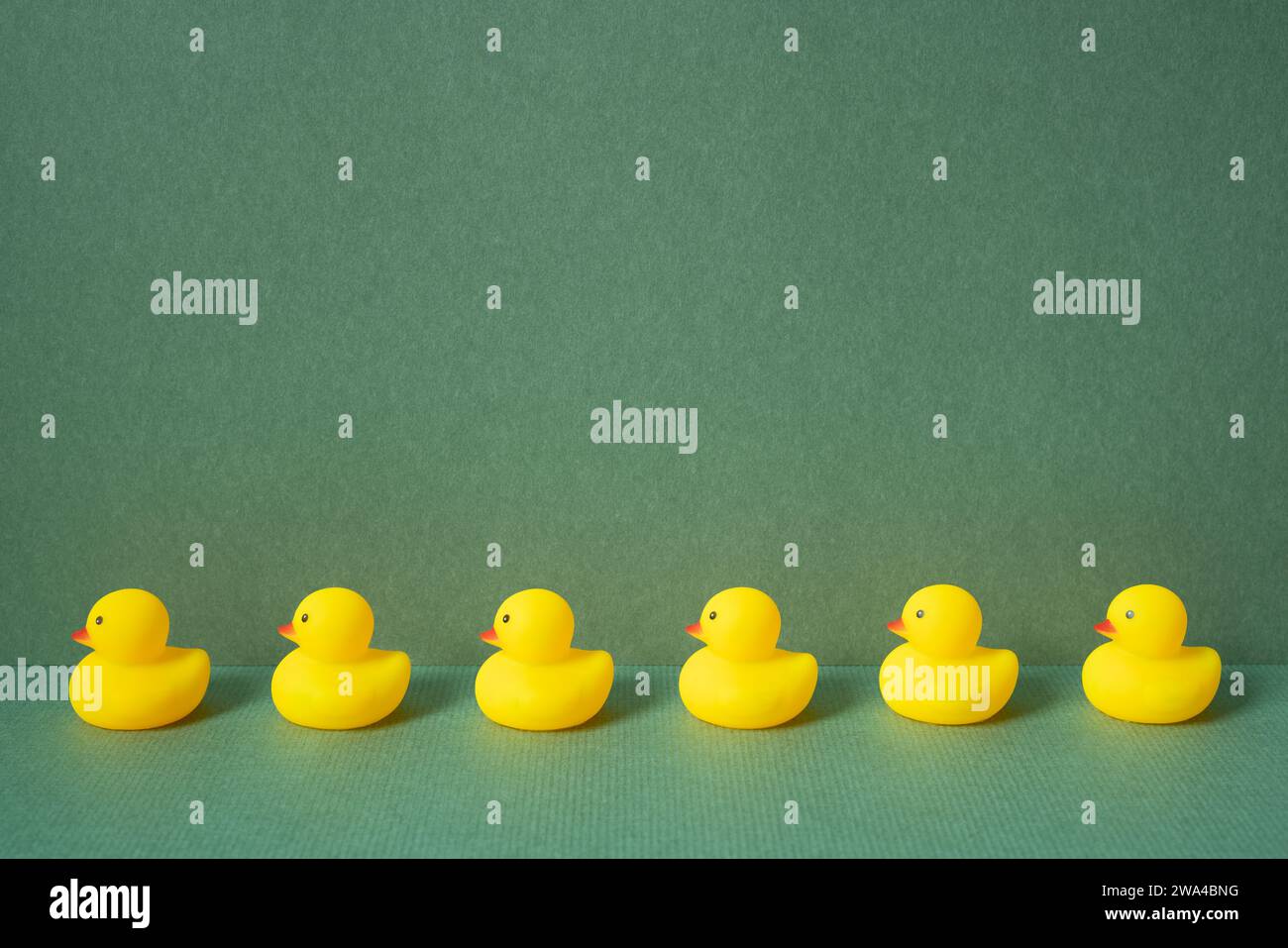 Row of yellow rubber duck doll on green background. teamwork leadership ...